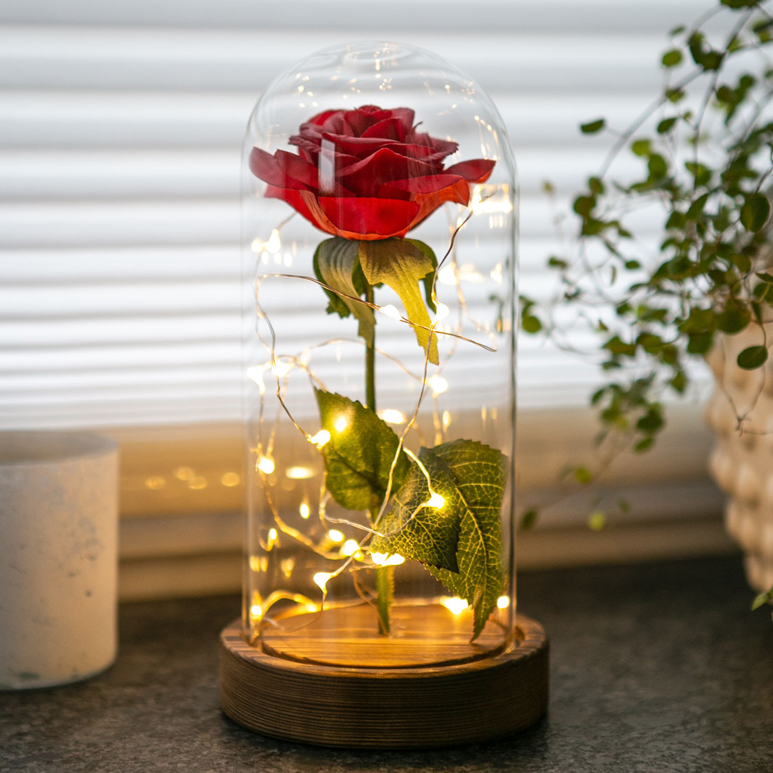 Ewige Rosen Im Glas