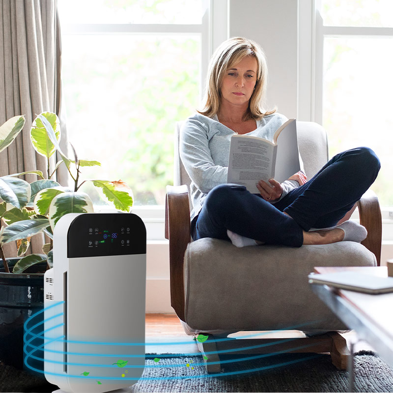 Livington air purifier store